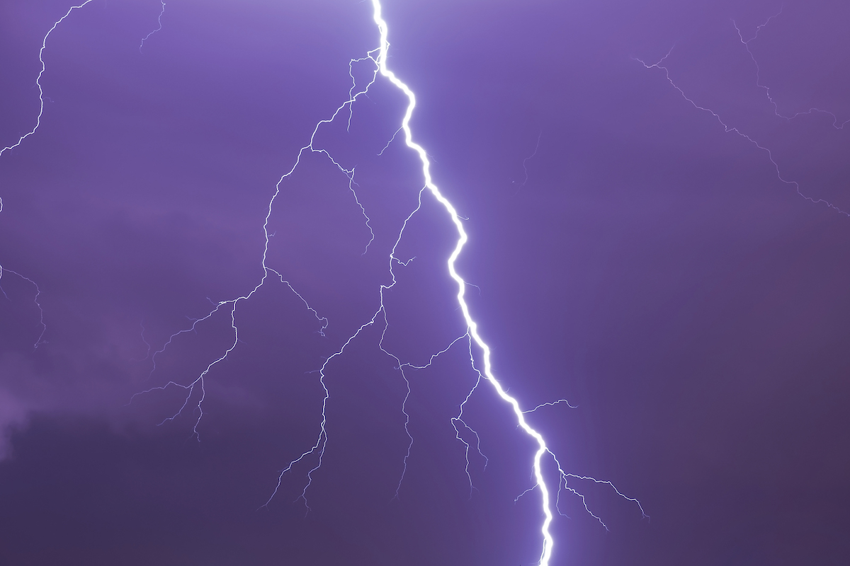 LBRY Joule for Desktop